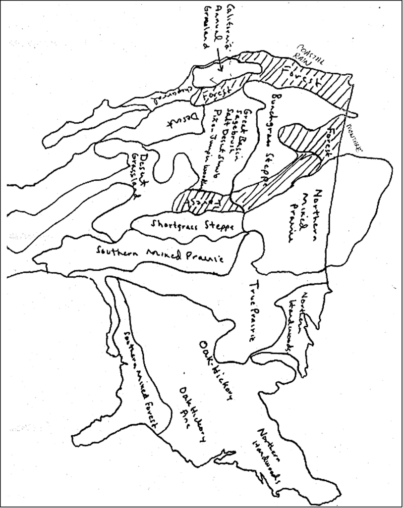 Structure – Larry R. Rittenhouse