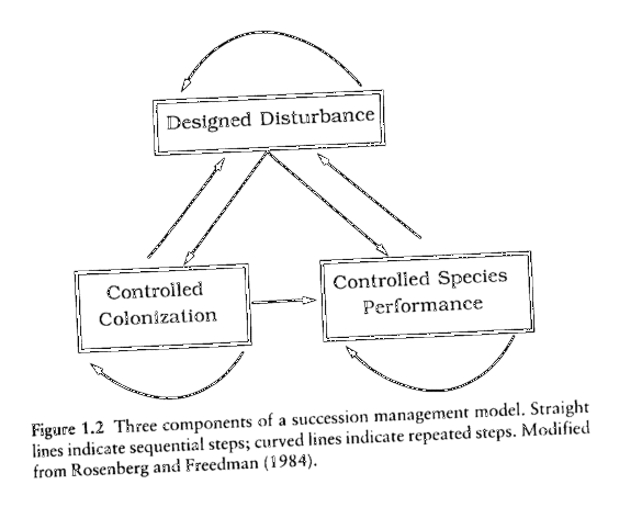 dynamic – Larry R. Rittenhouse