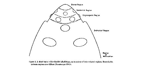 tip2 – Larry R. Rittenhouse