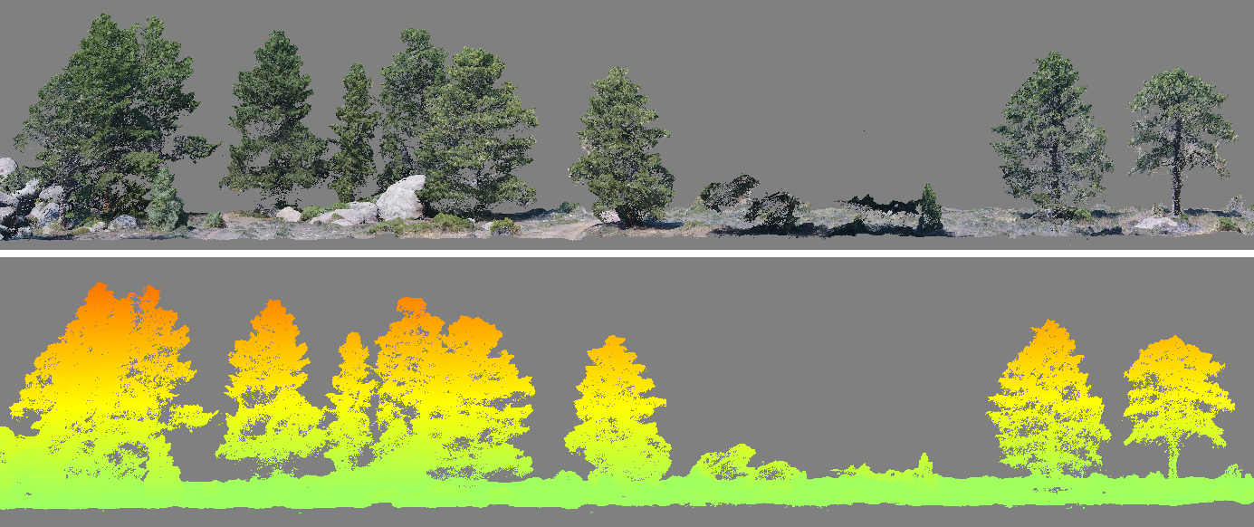 SFM Profile | Forest Biometrics Lab